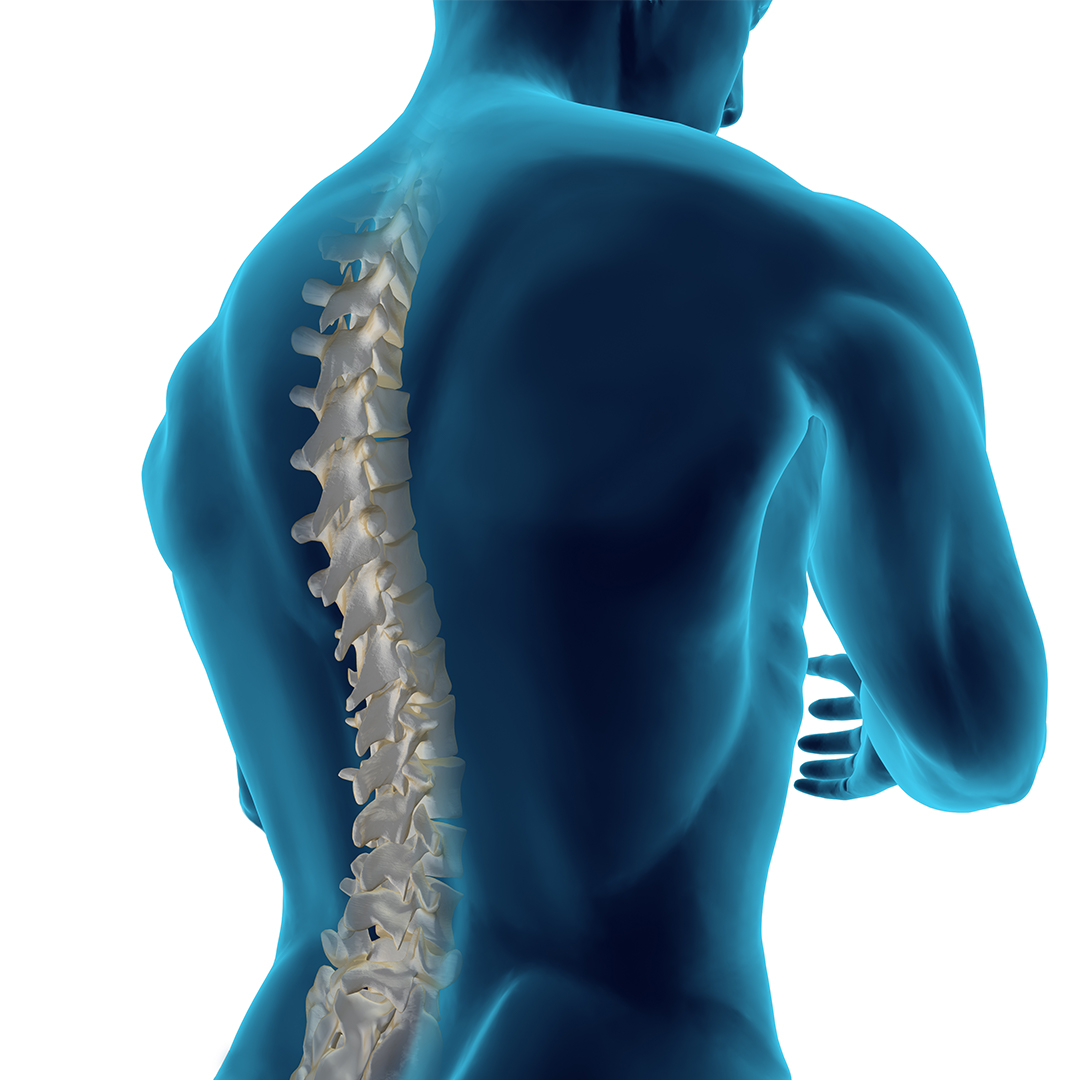 new back tips - posture resets - refresh you neck and back by returning ...